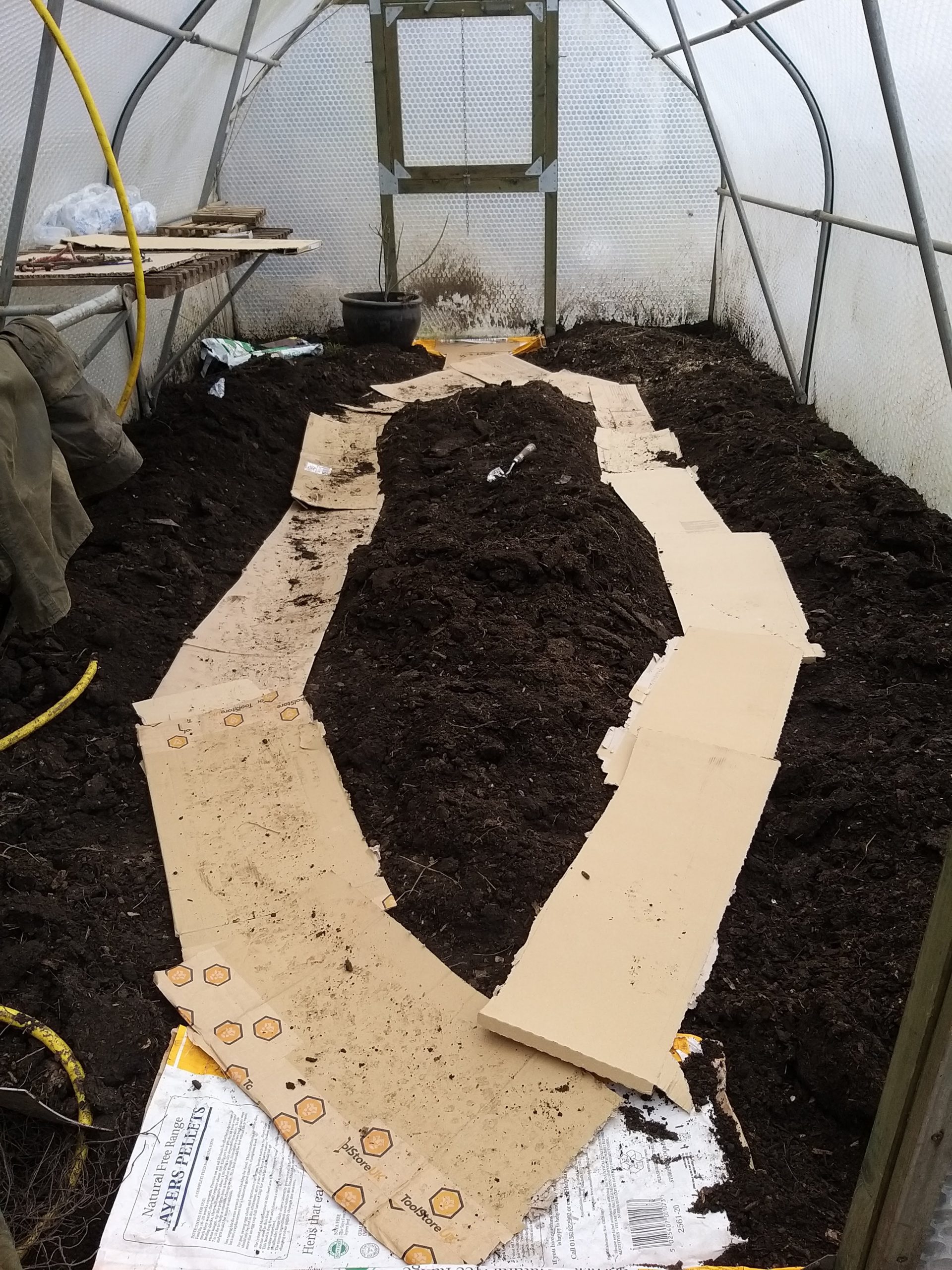 Polytunnel growing – Mount Pleasant Farm